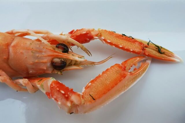 【2025年最新】セブ島のシーフードが美味しいレストラン3選｜人気料理＆注意点も解説